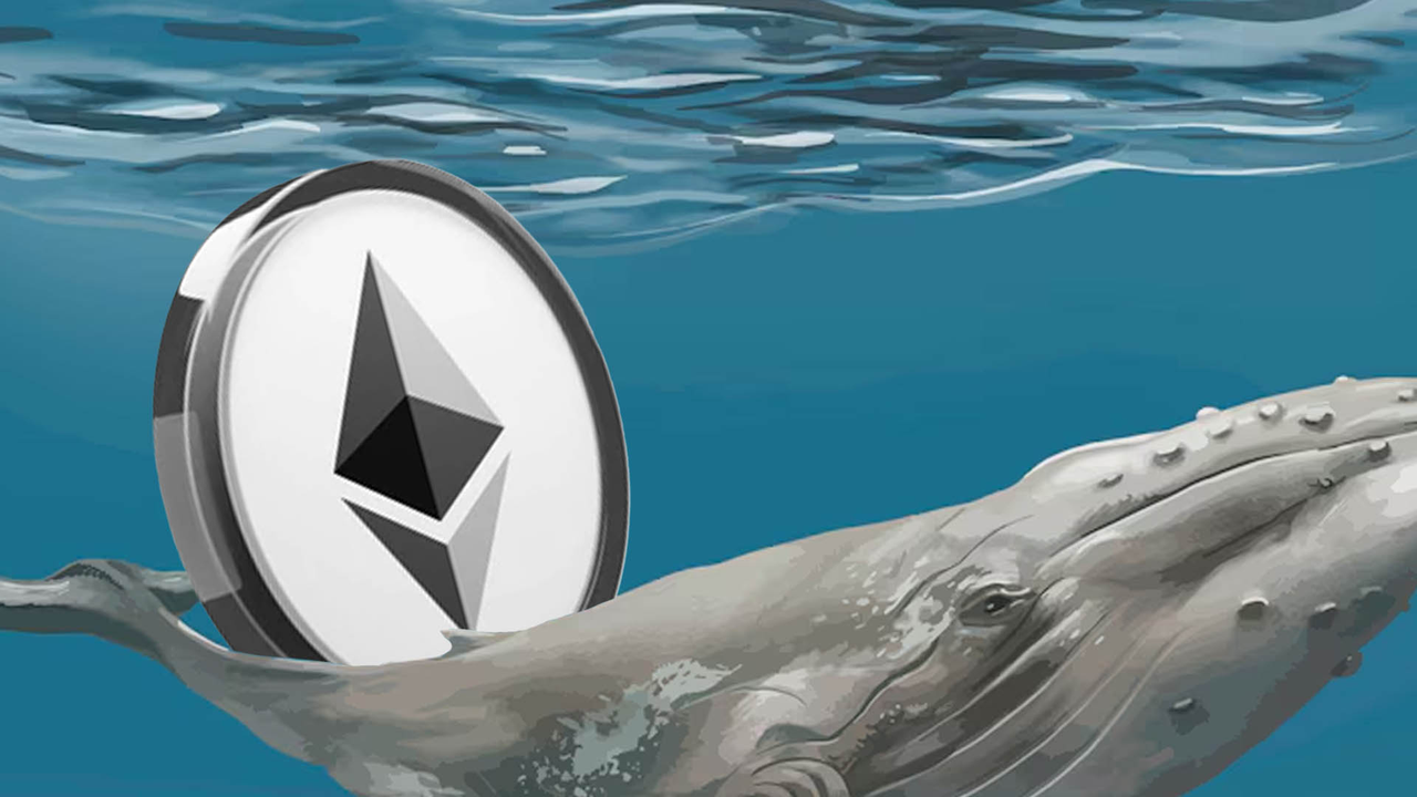 The $1.6 Billion Verdict: How Whale Accumulation Confirms Ethereum's ...