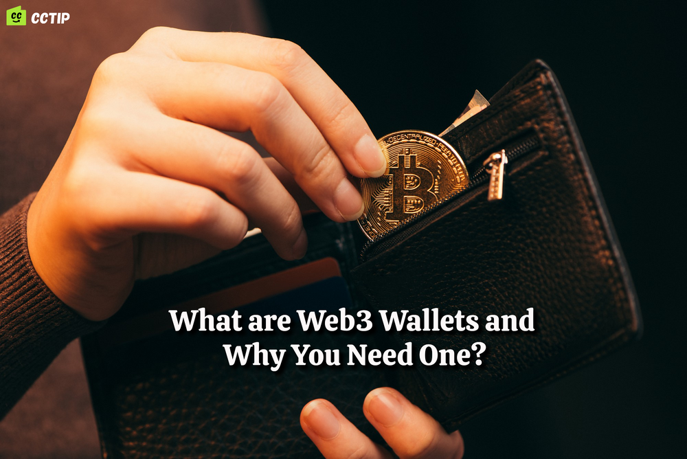 What are Web3 Wallets and Why You Need One?