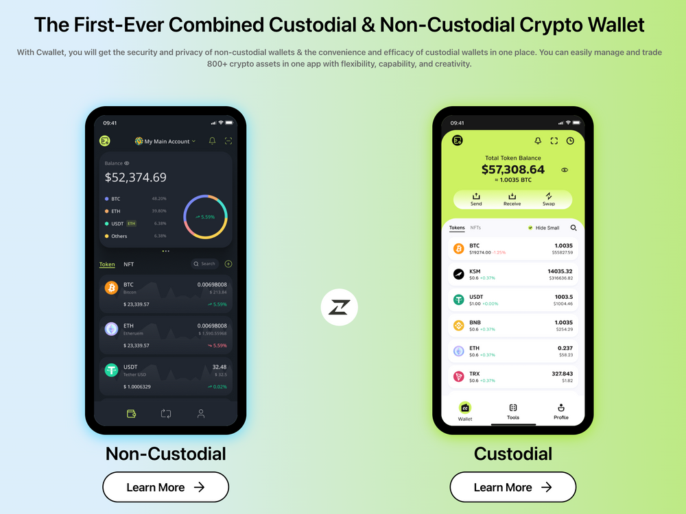 What Is a Decentralized Wallet and How Do They Work |Cwallet